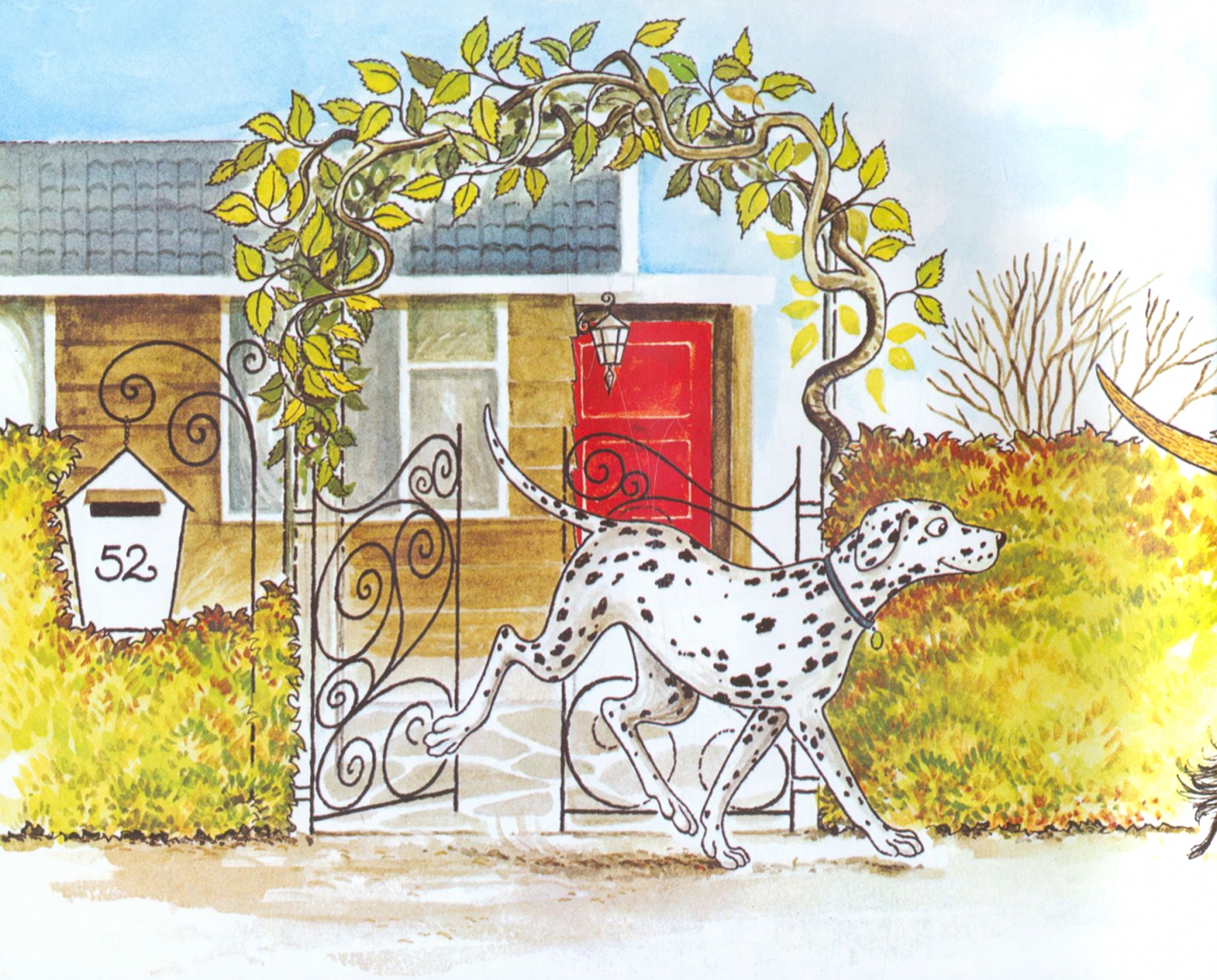 Hairy Maclary Five Lynley Dodd Stories Dodd Lynley - купить в интернет ...