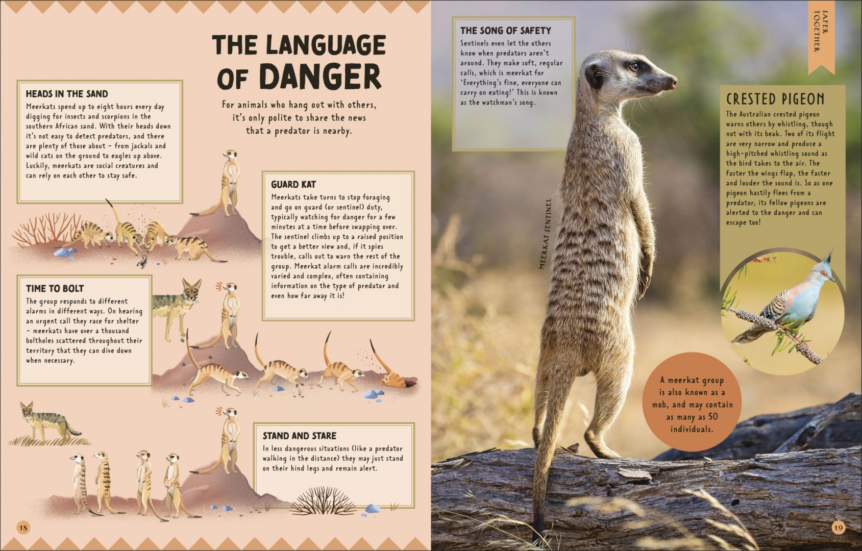 How Not to Get Eaten. More than 75 Incredible Animal Defenses Reeves ...